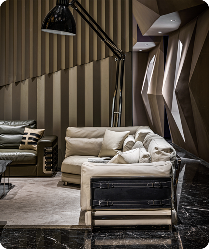 Home- Basha International